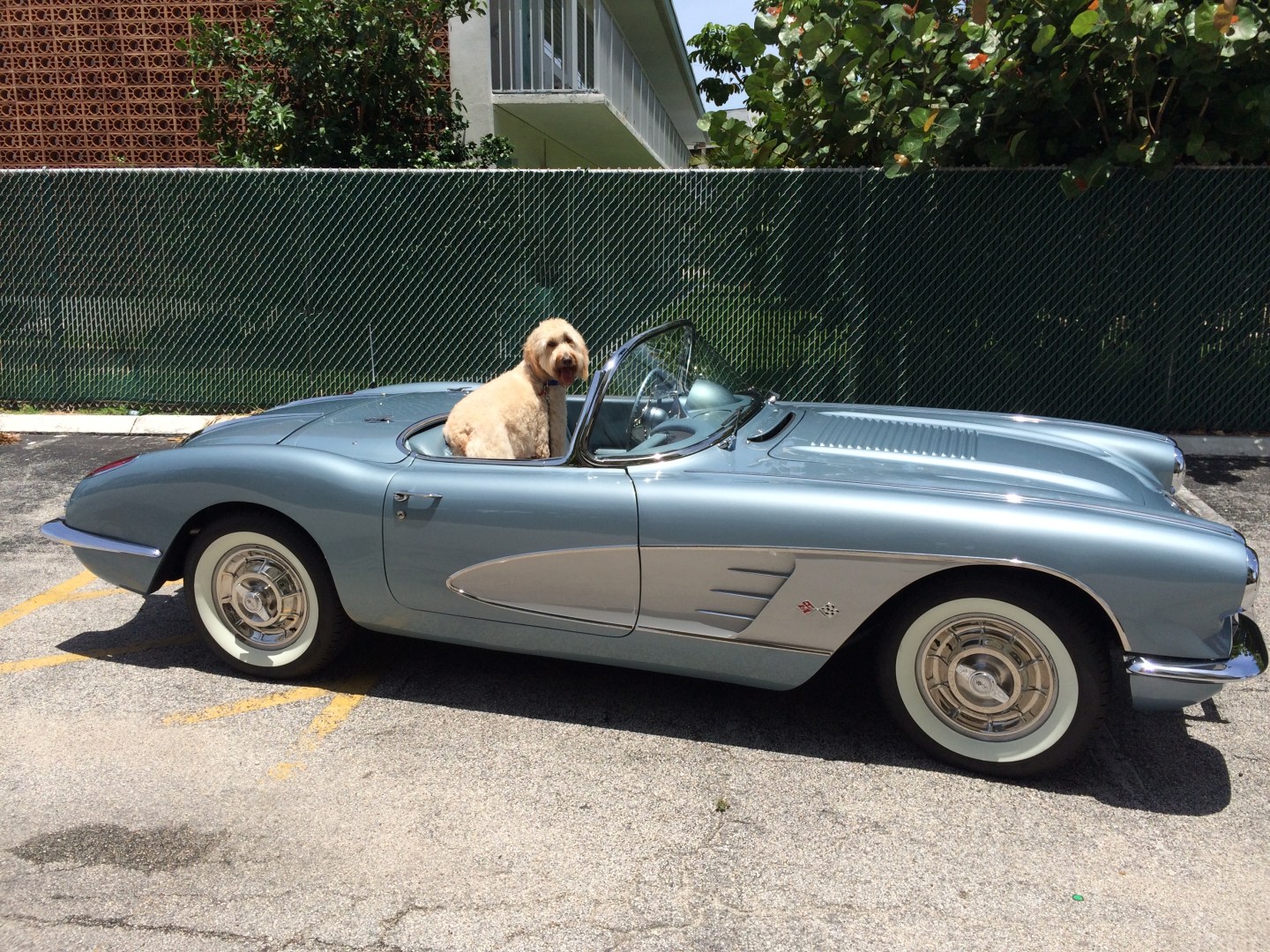 Dan Hellman's Blog – Mid-Life Happenings